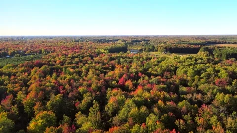 Beautiful Quebec at its peak in fall fol... | Stock Video | Pond5
