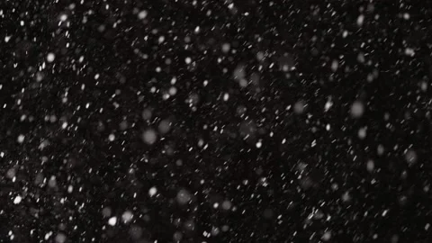 Beautiful Real falling snow isolated on ... | Stock Video | Pond5