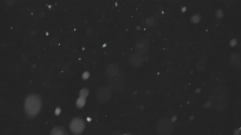 Beautiful Real falling snow isolated on ... | Stock Video | Pond5