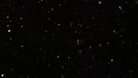 Beautiful Real falling snow isolated on ... | Stock Video | Pond5