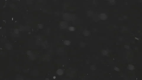 Beautiful Real falling snow isolated on ... | Stock Video | Pond5