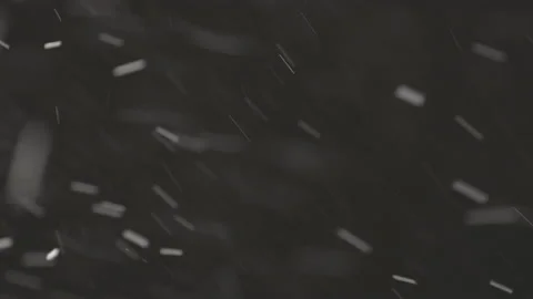 Beautiful Real falling snow isolated on ... | Stock Video | Pond5
