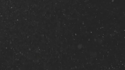 Beautiful Real falling snow isolated on ... | Stock Video | Pond5