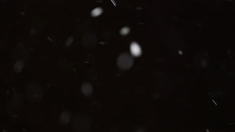 Beautiful Real falling snow isolated on ... | Stock Video | Pond5