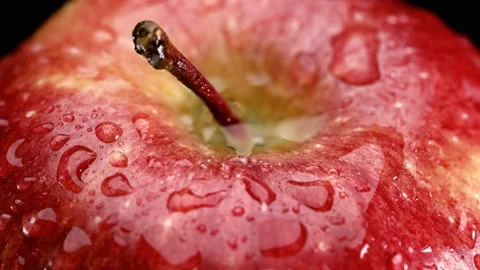 beautiful Red Apple with water drops rot... | Stock Video | Pond5