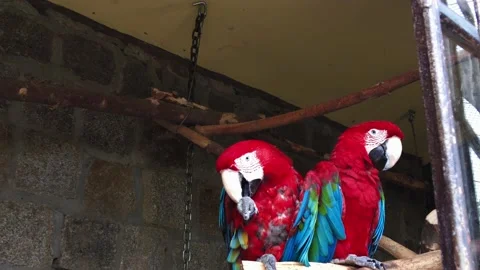 Video Of Uo Stock Videos – Royalty-Free HD & 4K Videos