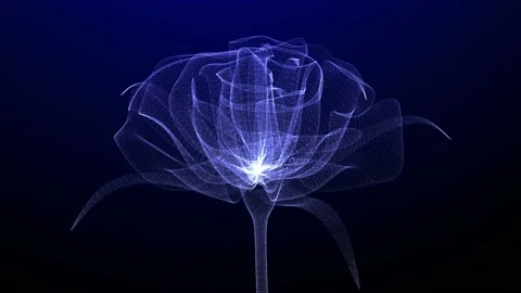 Rose Particles Stock Footage ~ Royalty Free Stock Videos | Pond5