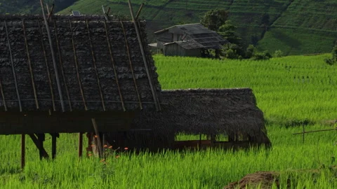 Beautiful scenery of Pa Bong Piang rice ... | Stock Video | Pond5