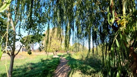 Ap[A Stock Videos – Royalty-Free HD & 4K Videos