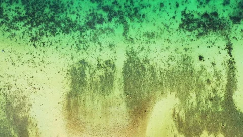 Beautiful sea bottom texture with coral ... | Stock Video | Pond5