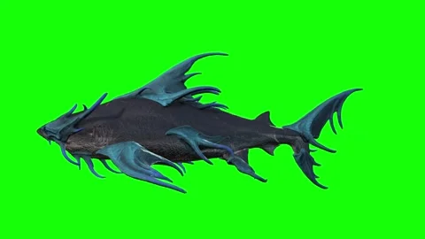 Shark Swimming Video Stock Videos – Royalty-Free HD & 4K Videos | Page 5