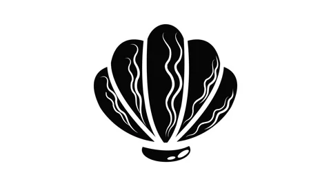 Beautiful shell icon animation | Stock Video | Pond5