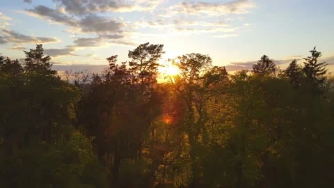 Beautiful shot of sunset through forest ... | Stock Video | Pond5