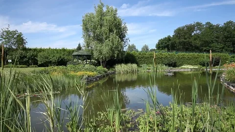Beautiful small lake. Summer day park la... | Stock Video | Pond5