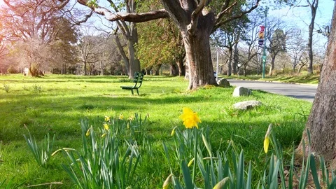 Beautiful Spring Park Field and Green Gr... | Stock Video | Pond5