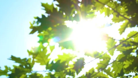 Beautiful sunny blurry spring nature bac... | Stock Video | Pond5