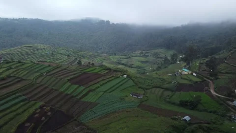 Beautiful terrace farming in Kokkal vill... | Stock Video | Pond5