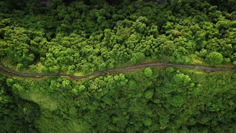 Beautiful top-down view of walking path ... | Stock Video | Pond5