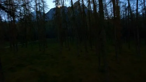 Beautiful Trees and Landscape in Nature | Stock Video | Pond5