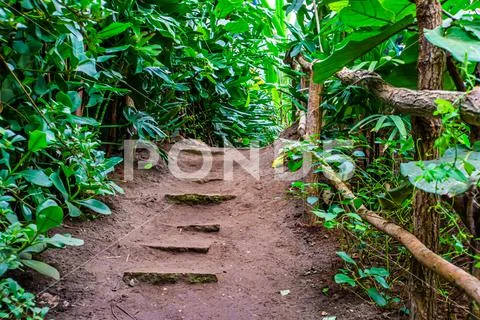 Beautiful tropical garden with walking path, natural architecture ...