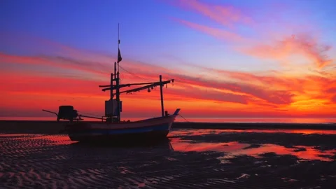 Tropical Birds Flying Stock Videos – Royalty-Free HD & 4K Videos | Pond5