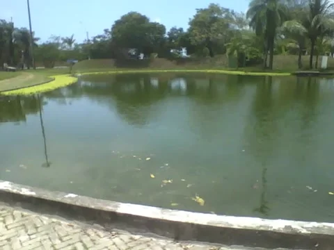 Science Of Pretty Stock Videos – Royalty-Free HD & 4K Videos | Pond5