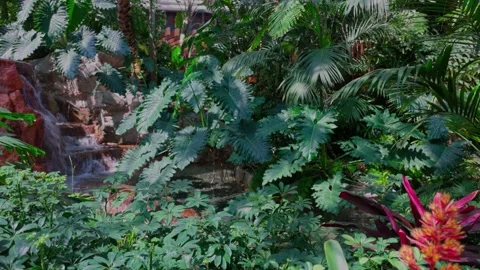 Man Made Plants Stock Videos – Royalty-Free HD & 4K Videos | Pond5