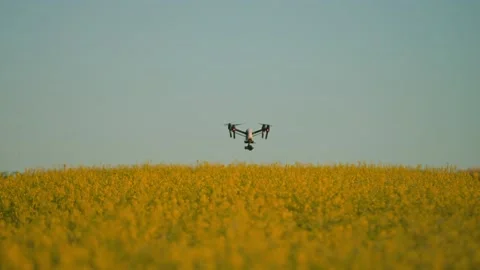 Fake Up Aircraft Stock Videos – Royalty-Free HD & 4K Videos | Pond5