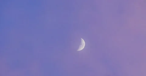 No Waxing Stock Videos – Royalty-Free HD & 4K Videos