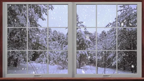 Beautiful window view of trees and snow ... | Stock Video | Pond5