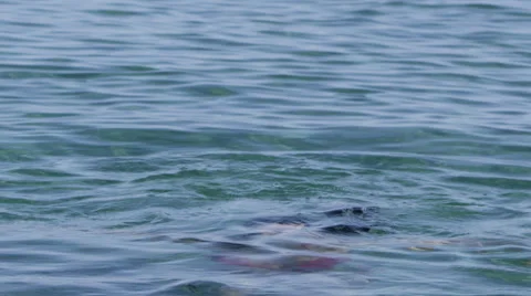 Beautiful woman emerging from the water ... | Stock Video | Pond5