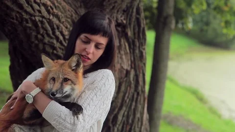 Beautiful woman hug orange fox in park i... | Stock Video | Pond5