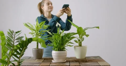 Them Pictures Stock Videos – Royalty-Free HD & 4K Videos