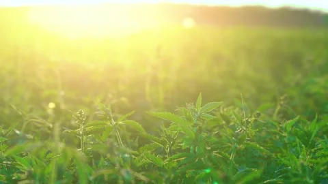 Beautifully dramatic scene of sunrise ov... | Stock Video | Pond5