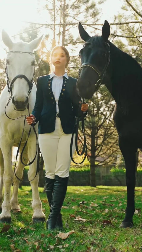 Beaty Horse Riding Stock Videos – Royalty-Free HD & 4K Videos