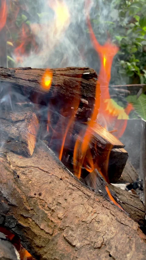 Smoke Woodfire Stock Videos – Royalty-Free HD & 4K Videos | Pond5