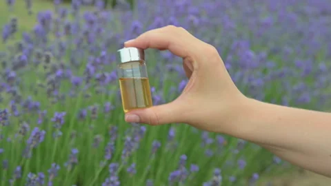 Essence Lavender Stock Videos – Royalty-Free HD & 4K Videos