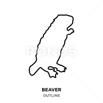 Beaver outline on white background,standing up ~ Clip Art #88186207