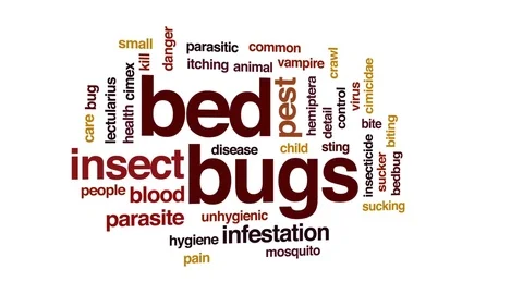 Bed bugs animated word cloud, text desig... | Stock Video | Pond5