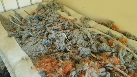 Bed destroyed | Stock Video | Pond5