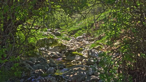 M Stream_Now Stock Videos – Royalty-Free HD & 4K Videos | Pond5