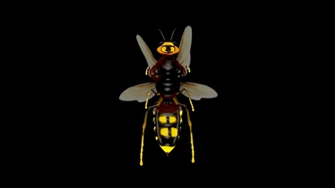 Bee Bottom View. | Stock Video | Pond5