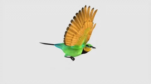 Alpha Bird Flying Stock Footage ~ Royalty Free Stock Videos | Pond5