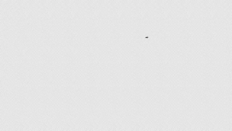 Bee Flying VFX Element 3D Animation with... | Stock Video | Pond5