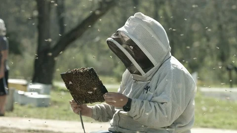 Keeper or Stock Videos – Royalty-Free HD & 4K Videos | Pond5