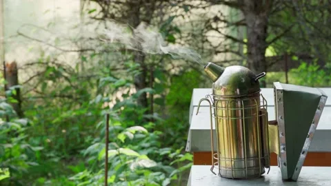 bee smoker, smoke blower on top of a bee... | Stock Video | Pond5