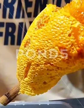 Beehive full of honey. Bee hive. Beehives. Bee hives. Honey. Honeycomb ...