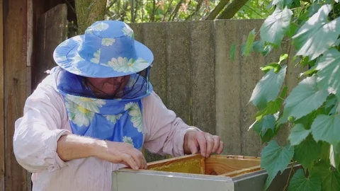 The beekeeper in a mask works near an op... | Stock Video | Pond5