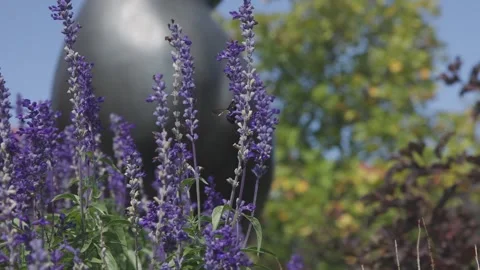 Bees and bugs rest and eat from colored ... | Stock Video | Pond5