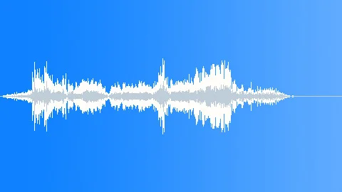 Bees buzzing, flying, bee, buzz, swarm, wasps 2 ~ Sound Effect #296648008